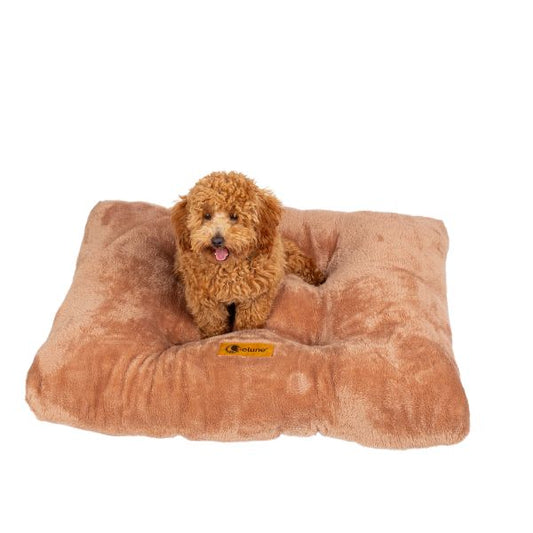 Belune - Das Original | Made in Germany