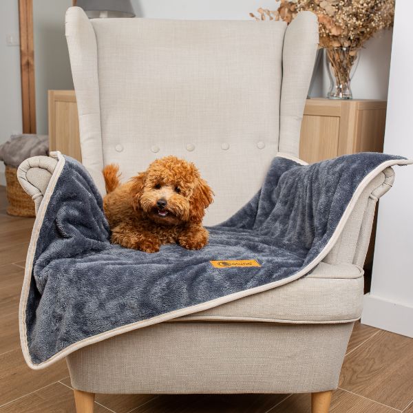 Belune - Das Original | Made in Germany