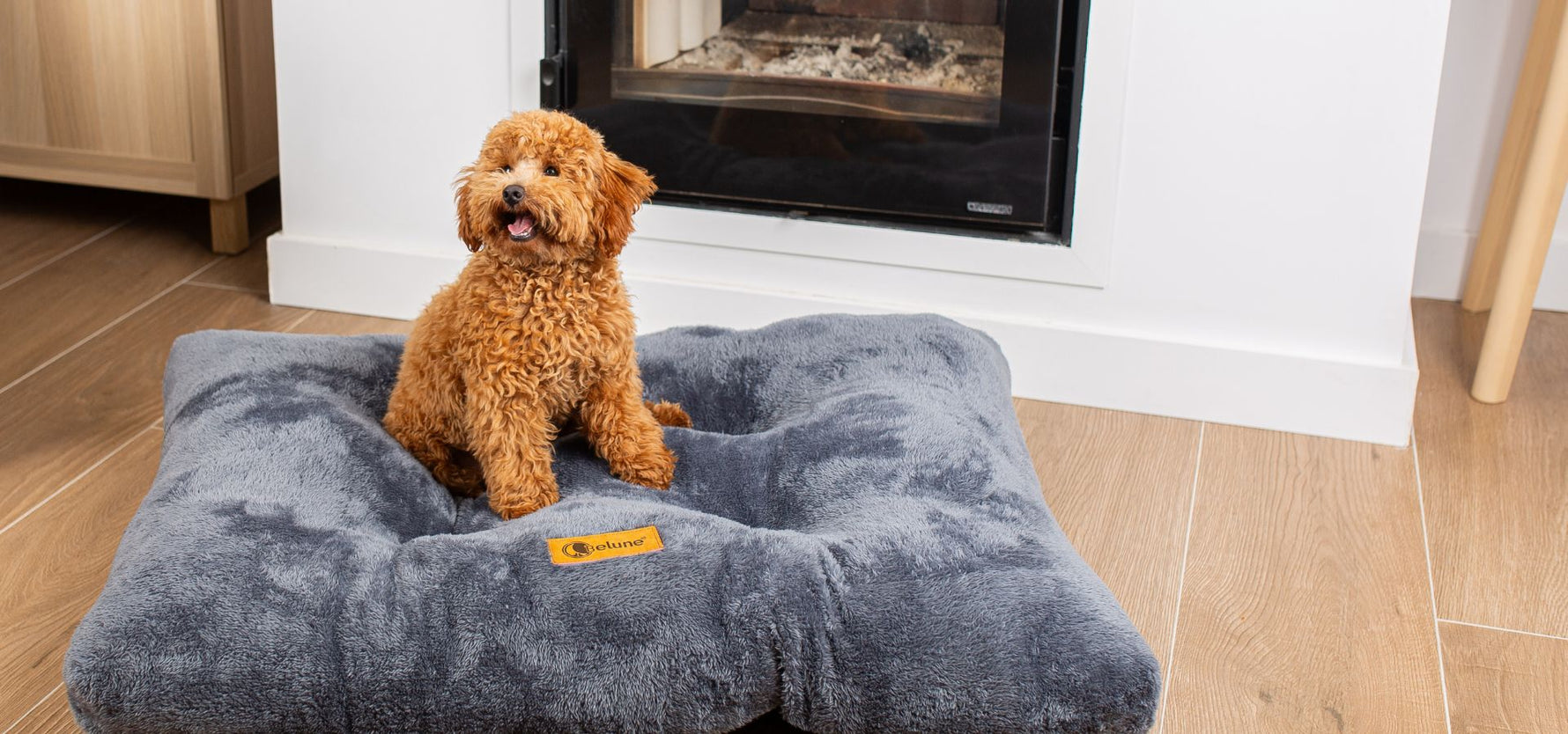 Belune - Das Original | Made in Germany