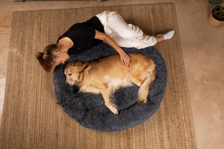 Belune - Das Original | Made in Germany