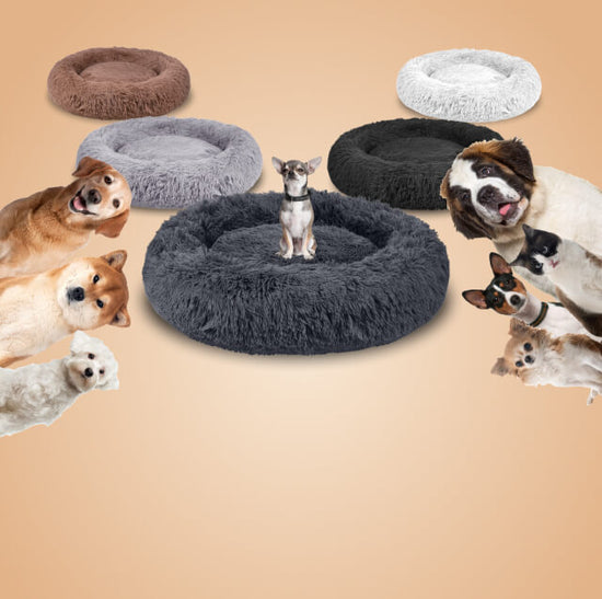 Belune - Das Original | Made in Germany